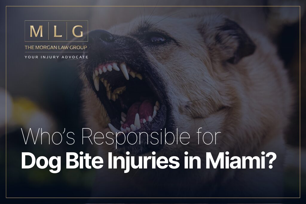 Who’s Responsible for Dog Bite Injuries in Miami? | The Morgan Law ...